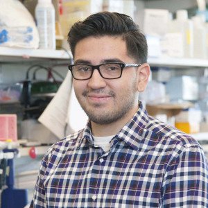 The Kayvan Keshari Lab | Memorial Sloan Kettering Cancer Center