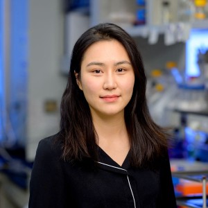 The Xuejun Jiang Lab | Sloan Kettering Institute