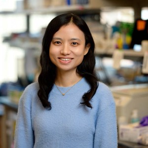 The Omar Abdel-Wahab Lab | Sloan Kettering Institute