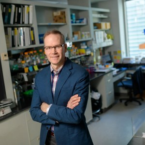 The Stephen Long Lab | Sloan Kettering Institute
