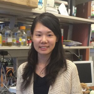 The Yueming Li Lab | Sloan Kettering Institute