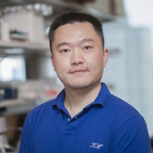 The Ming Li Lab | Sloan Kettering Institute
