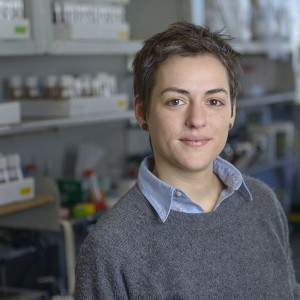 The Mary Baylies Lab | Sloan Kettering Institute