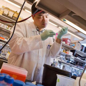 The Yueming Li Lab | Sloan Kettering Institute