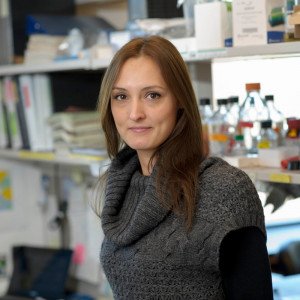 The Morgan Huse Lab | Sloan Kettering Institute