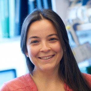 The Alexander Rudensky Lab | Sloan Kettering Institute