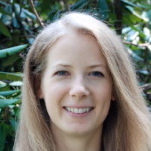 The Joseph Sun Lab | Sloan Kettering Institute