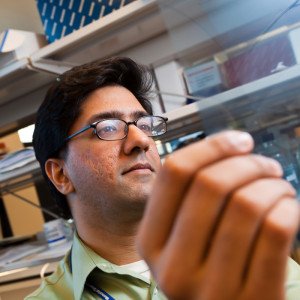 The Ross Levine Lab | Memorial Sloan Kettering Cancer Center