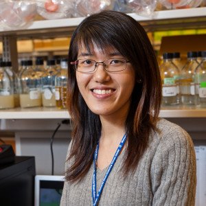 The Emily Cheng Lab | Memorial Sloan Kettering Cancer Center