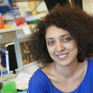 The Ming Li Lab | Sloan Kettering Institute