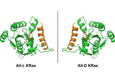 Mirror-Image Chemistry Enables New Approach for Targeting an ...