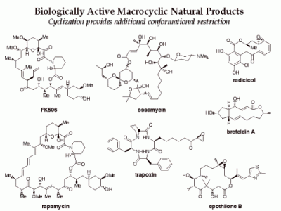 Ring Expansion Approaches to Macrocycle Synthesis | Sloan Kettering ...