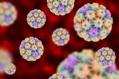 Cancers Caused by HPV Respond Better to Treatment — a New Study Helps ...