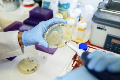 Critical Care Center Research | Memorial Sloan Kettering Cancer Center