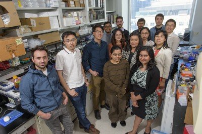The Eric Lai Lab | Sloan Kettering Institute