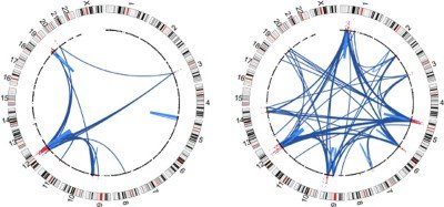 The Samuel Singer Lab: Research Overview | Memorial Sloan Kettering ...