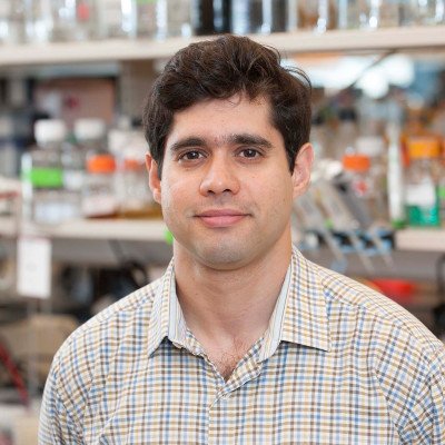 The Michael Glickman Lab | Sloan Kettering Institute