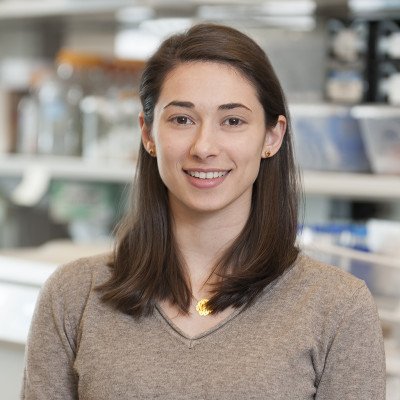 The Minkui Luo Lab | Sloan Kettering Institute