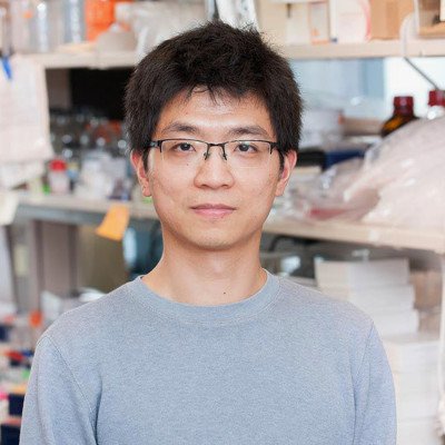 The Ming Li Lab | Sloan Kettering Institute