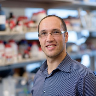 The Kayvan Keshari Lab | Memorial Sloan Kettering Cancer Center