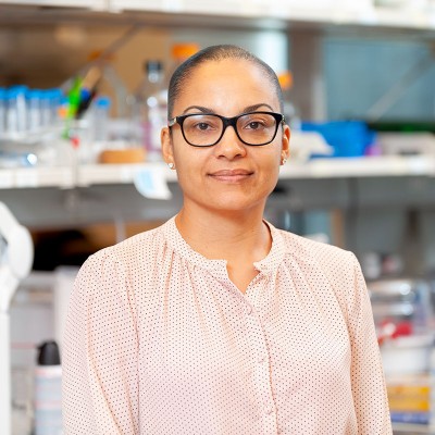 The Kayvan Keshari Lab | Memorial Sloan Kettering Cancer Center