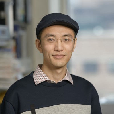 The John Petrini Lab | Sloan Kettering Institute