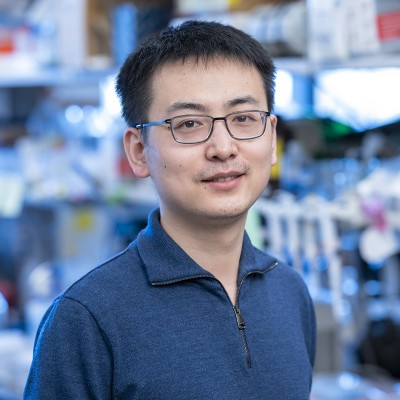 The Yueming Li Lab | Sloan Kettering Institute