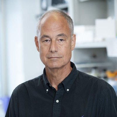 The Stewart Shuman Lab | Sloan Kettering Institute