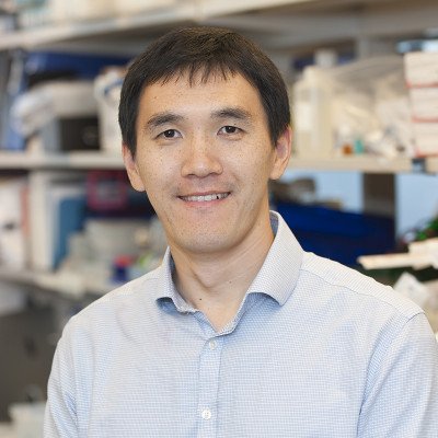 The Neal Rosen Lab | Sloan Kettering Institute