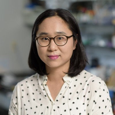 The Eric Lai Lab | Sloan Kettering Institute