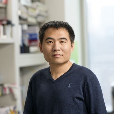 The Liang Deng Lab | Memorial Sloan Kettering Cancer Center