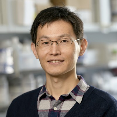 The Eric Lai Lab | Sloan Kettering Institute