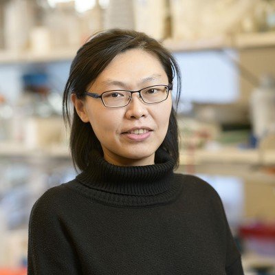 The Piro Lito Lab | Memorial Sloan Kettering Cancer Center