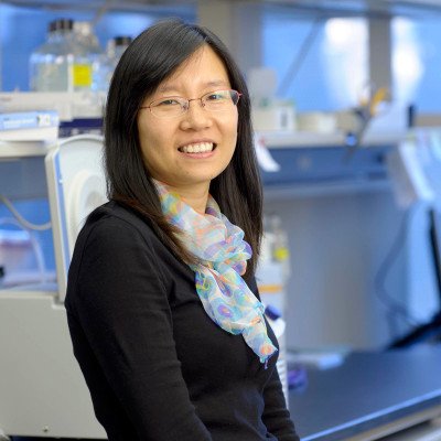 The Ping Chi Lab | Memorial Sloan Kettering Cancer Center