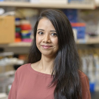 The Prasad Adusumilli Lab | Memorial Sloan Kettering Cancer Center