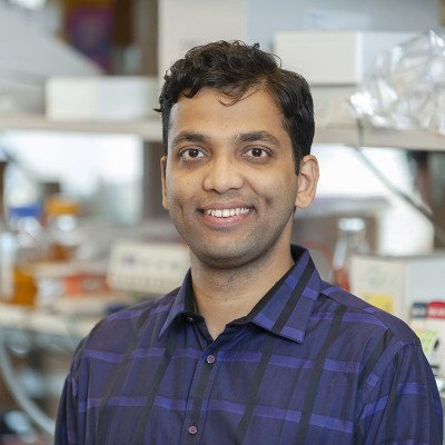 The Michael Glickman Lab | Sloan Kettering Institute