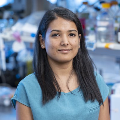 The Yueming Li Lab | Sloan Kettering Institute