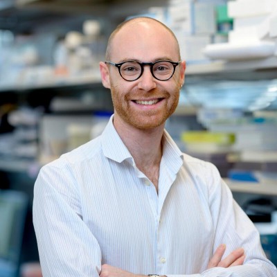 The Andrea Schietinger Lab | Sloan Kettering Institute