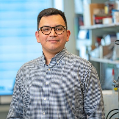 The Stephen Long Lab | Sloan Kettering Institute