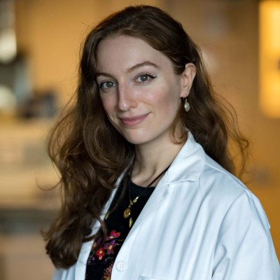 The Mary Baylies Lab | Sloan Kettering Institute