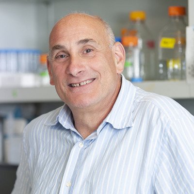 The Andrew Koff Lab | Sloan Kettering Institute