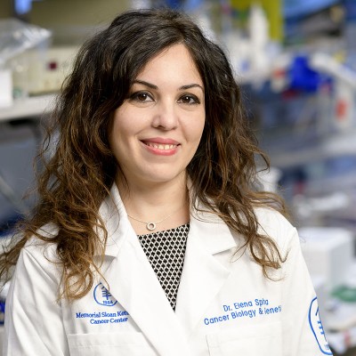 The Joan Massagué Lab | Sloan Kettering Institute