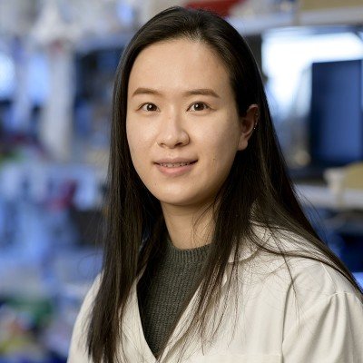 The Scott Lowe Lab | Sloan Kettering Institute