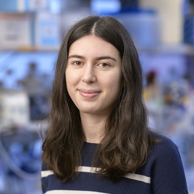 The James Fagin Lab | Memorial Sloan Kettering Cancer Center