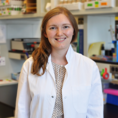 The Mary Baylies Lab | Sloan Kettering Institute