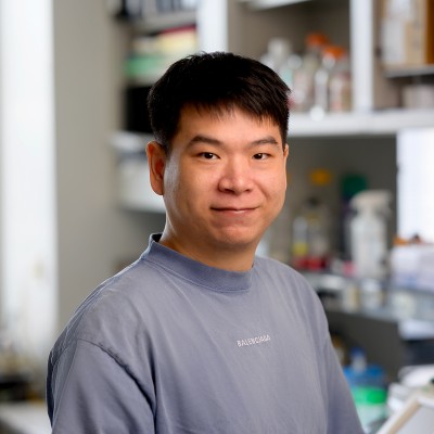 The Maria Jasin Lab | Sloan Kettering Institute