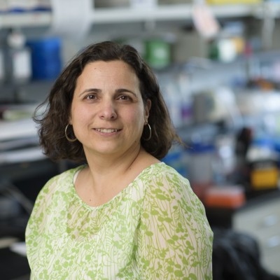 Integrated Genomics Operation (IGO) | Memorial Sloan Kettering Cancer ...