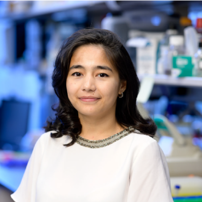 The Yu Chen Lab | Memorial Sloan Kettering Cancer Center