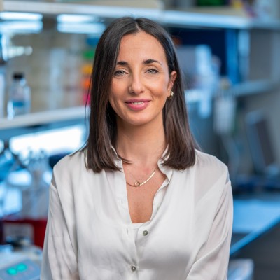 The Mara Sherman Lab | Sloan Kettering Institute