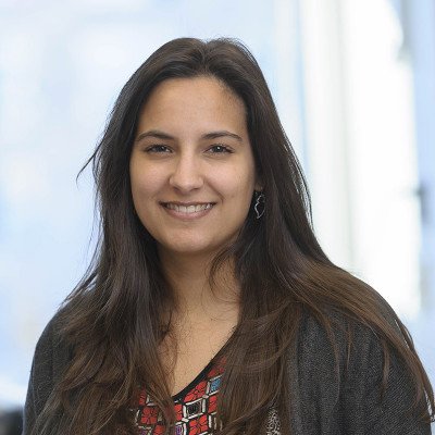 The Mary Baylies Lab | Sloan Kettering Institute